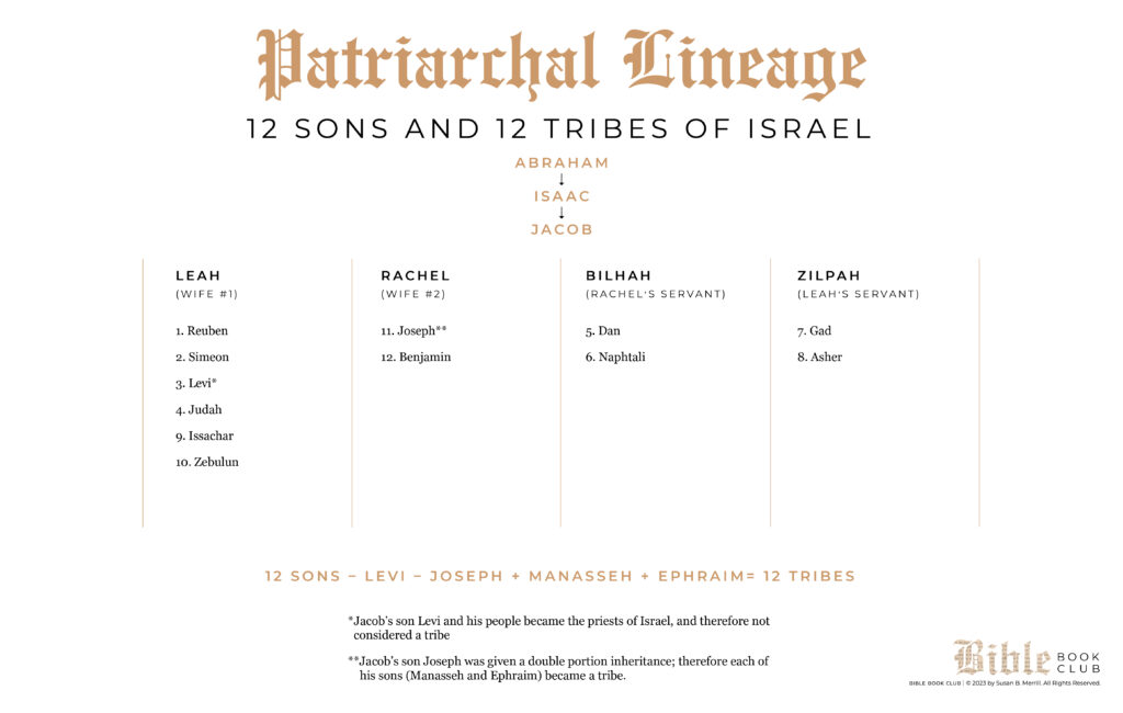 Patriarchal Lineage:12 Sons and 12 Tribes of Israel - Susan Merrill