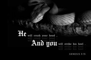 Genesis 3: The Fall - Bible Book Club