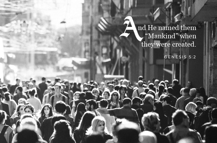 Genesis 5: 10 Generations, Adam to Noah - Susan Merrill