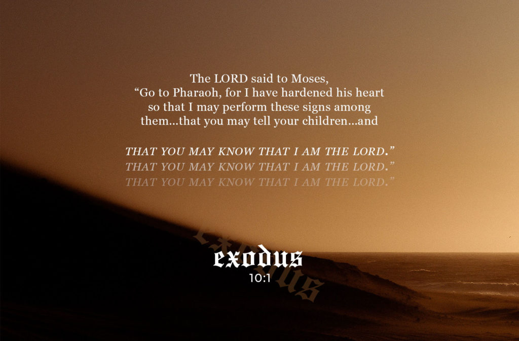Exodus 9-10: Pharoah's Plagued with a Hardened Heart - Susan Merrill