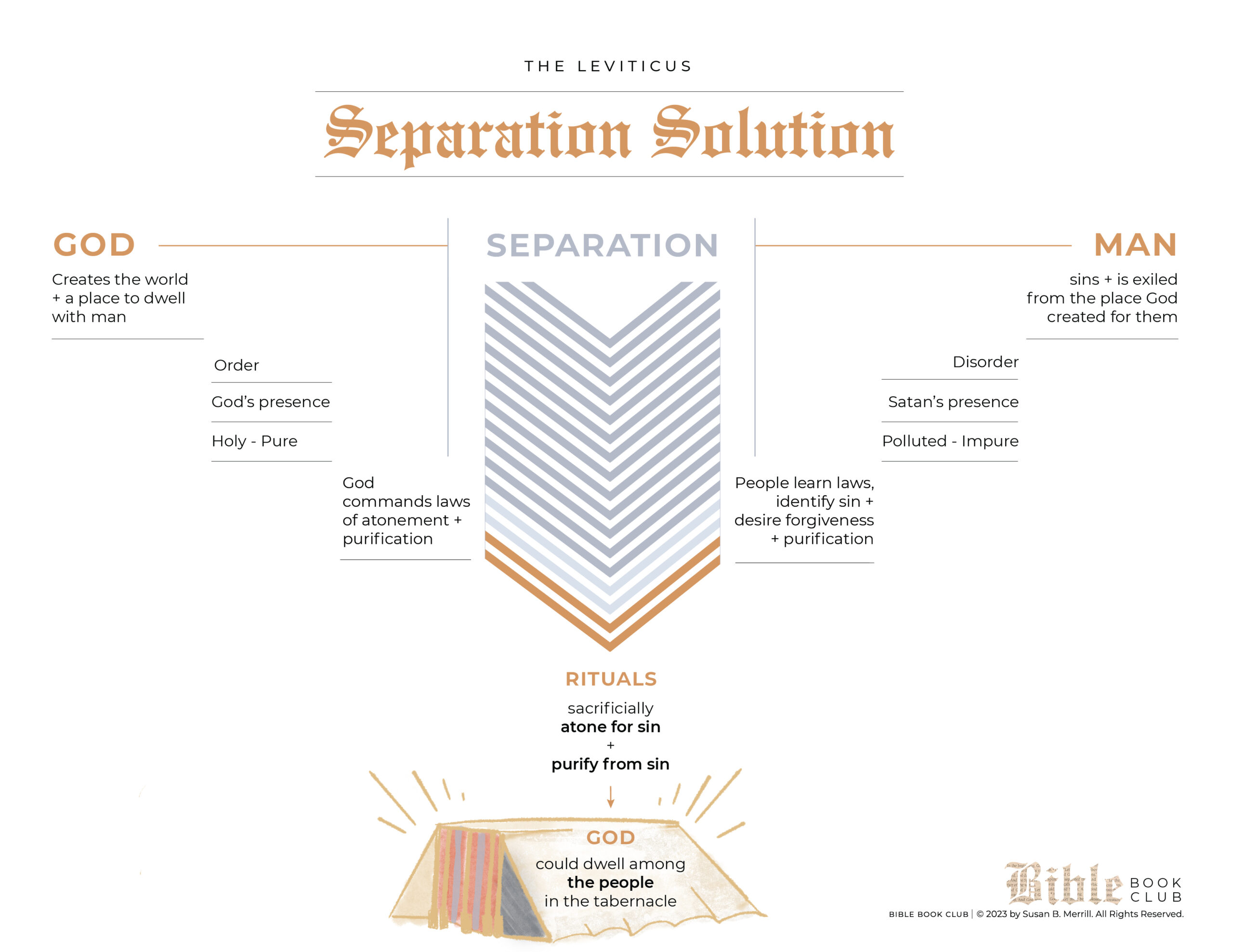 The Separation Solution - Bible Book Club