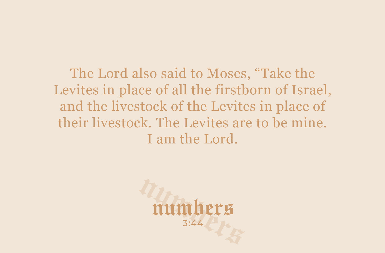 Numbers 3-4: Packing for the Promised Land - Bible Book Club
