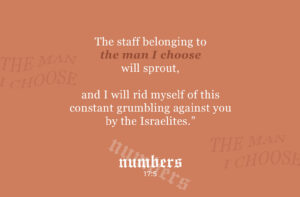 Numbers 17-18: It's Really Always God's Choice - Susan Merrill