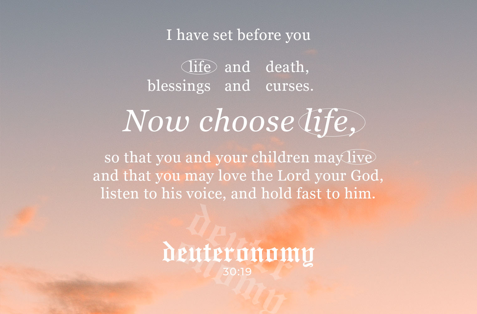 Deuteronomy 1: Moses Preaches a Book to Rival Romans - Bible Book Club