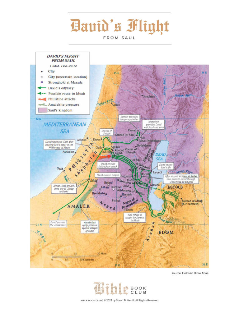 David's Flight from Saul - Bible Book Club