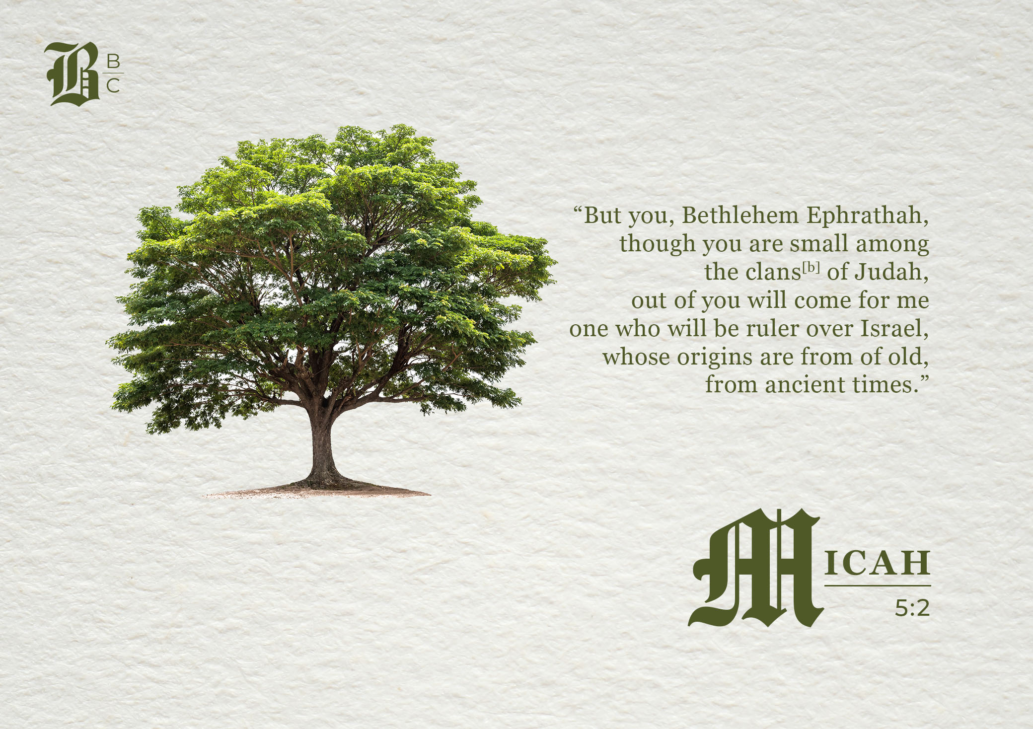 1 Chronicles 1-2: The Israelite's Old-School DNA Tracking - Bible Book Club